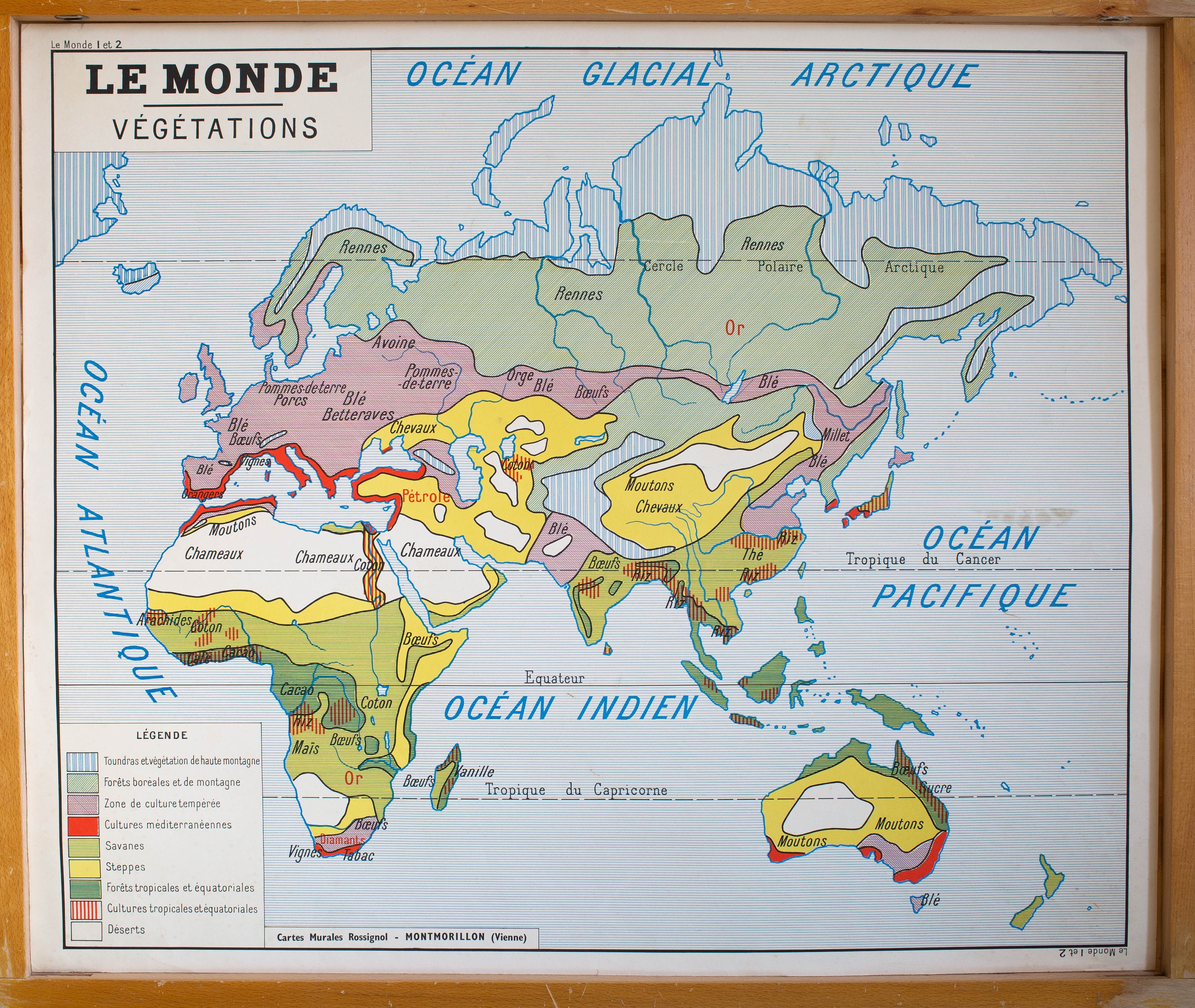 The World Map GEOGRAPHY Vintage Large Stunning French School Poster ...