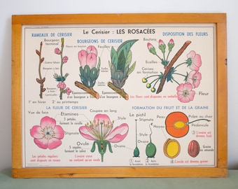 Vintage Large Stunning French School Poster Double-sided | Etsy