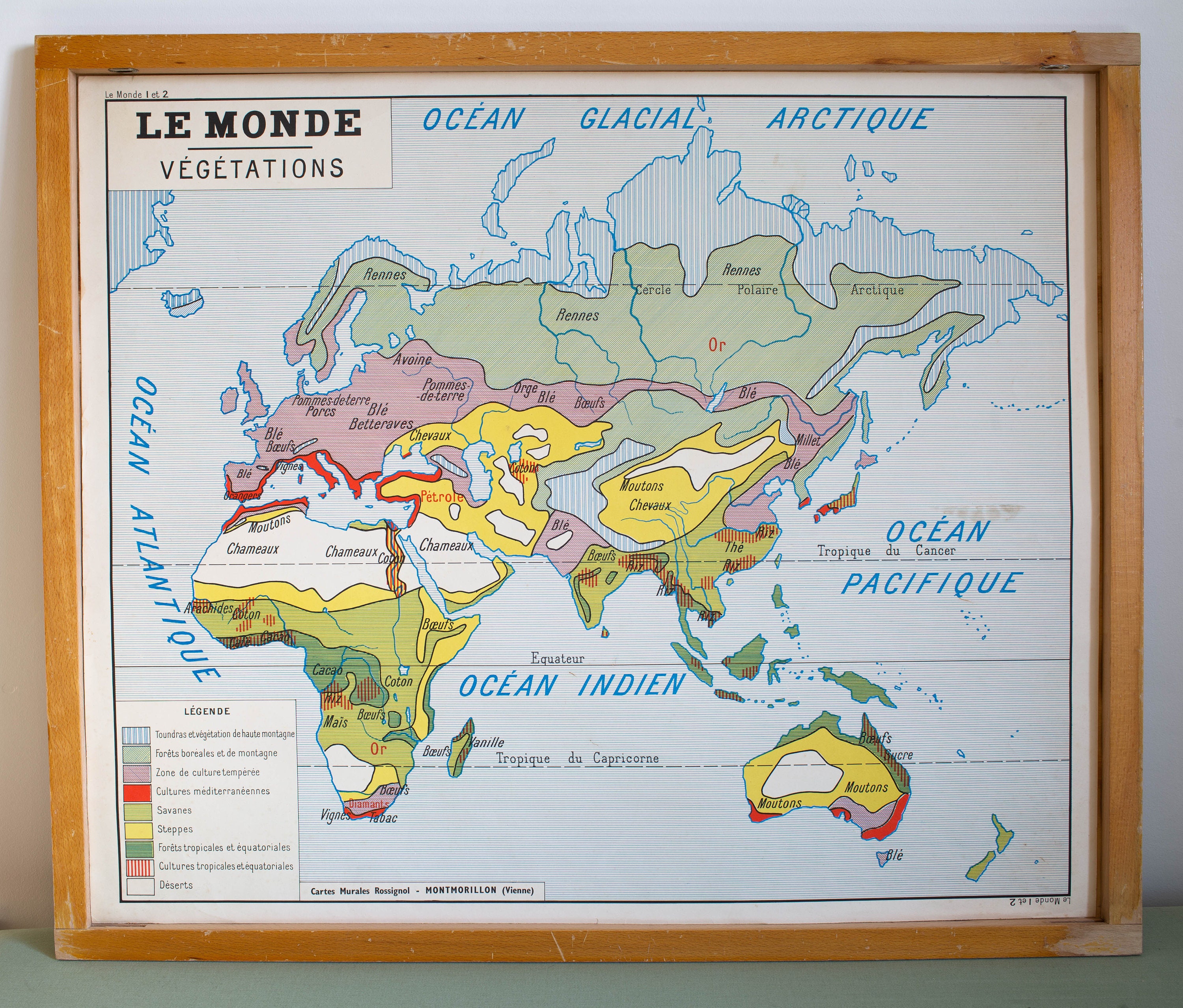 The World Map GEOGRAPHY Vintage Large Stunning French School Poster ...