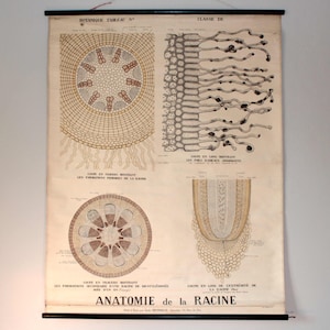 RARE French School Poster From the Late Nineteenth Century Emile ...