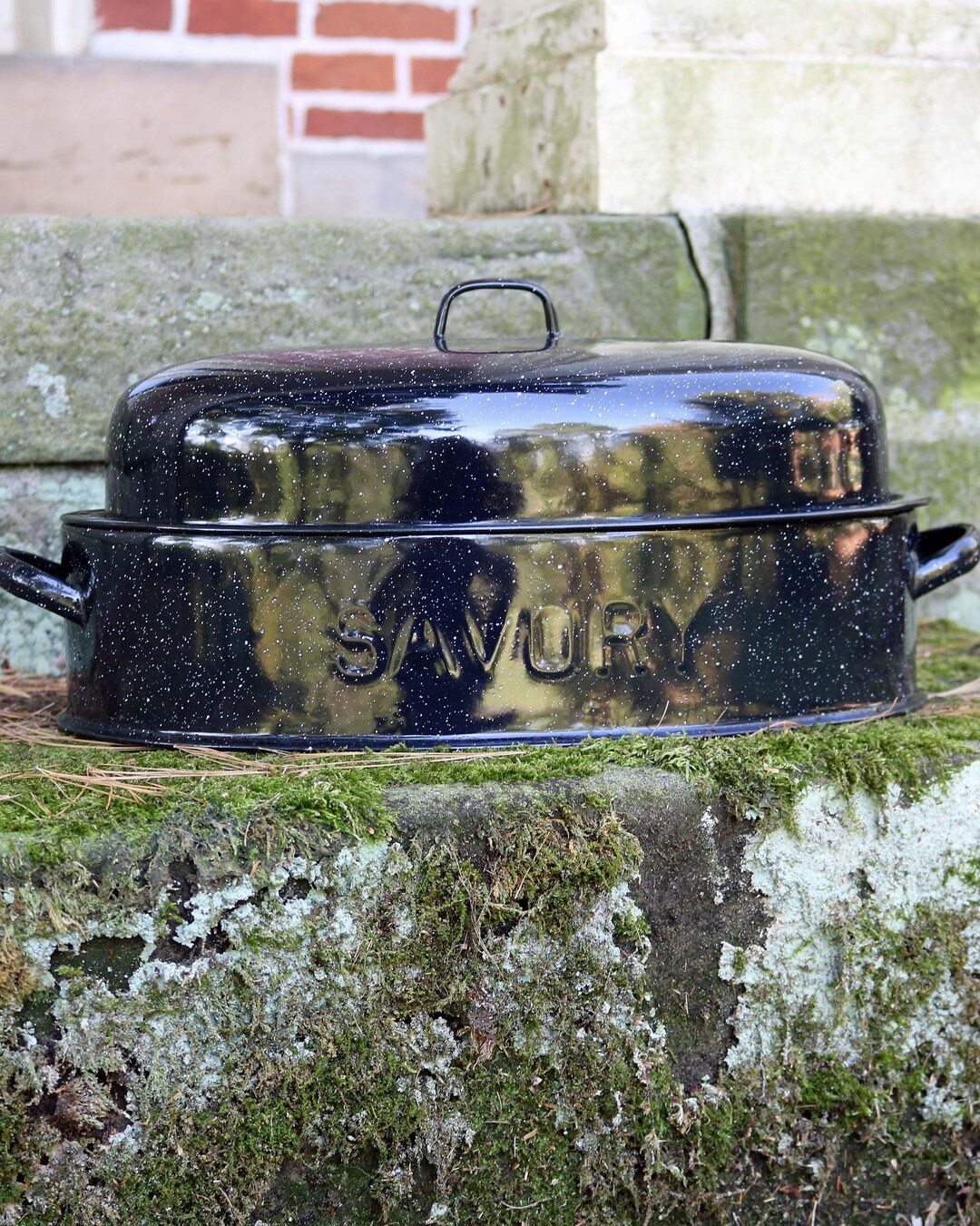 Small ~ 14-3/4" X 9" ~ Savory Roaster ~ Oval Double-walled ...