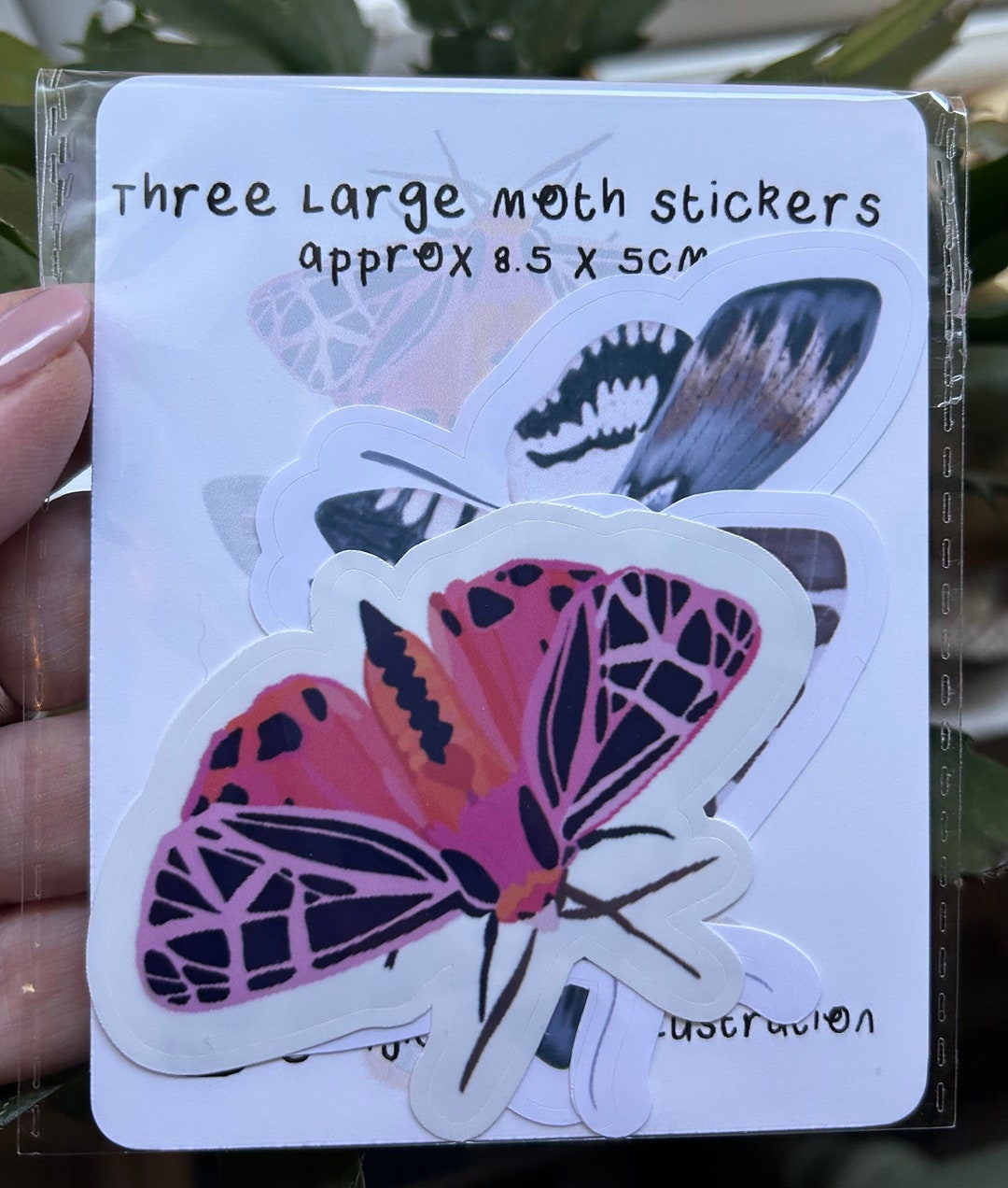 Large Moths Sticker Pack 3 Pieces Easy Peel - Etsy