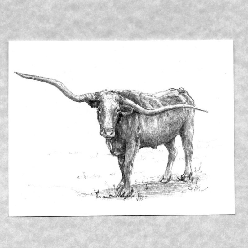 Longhorn Cattle - Etsy