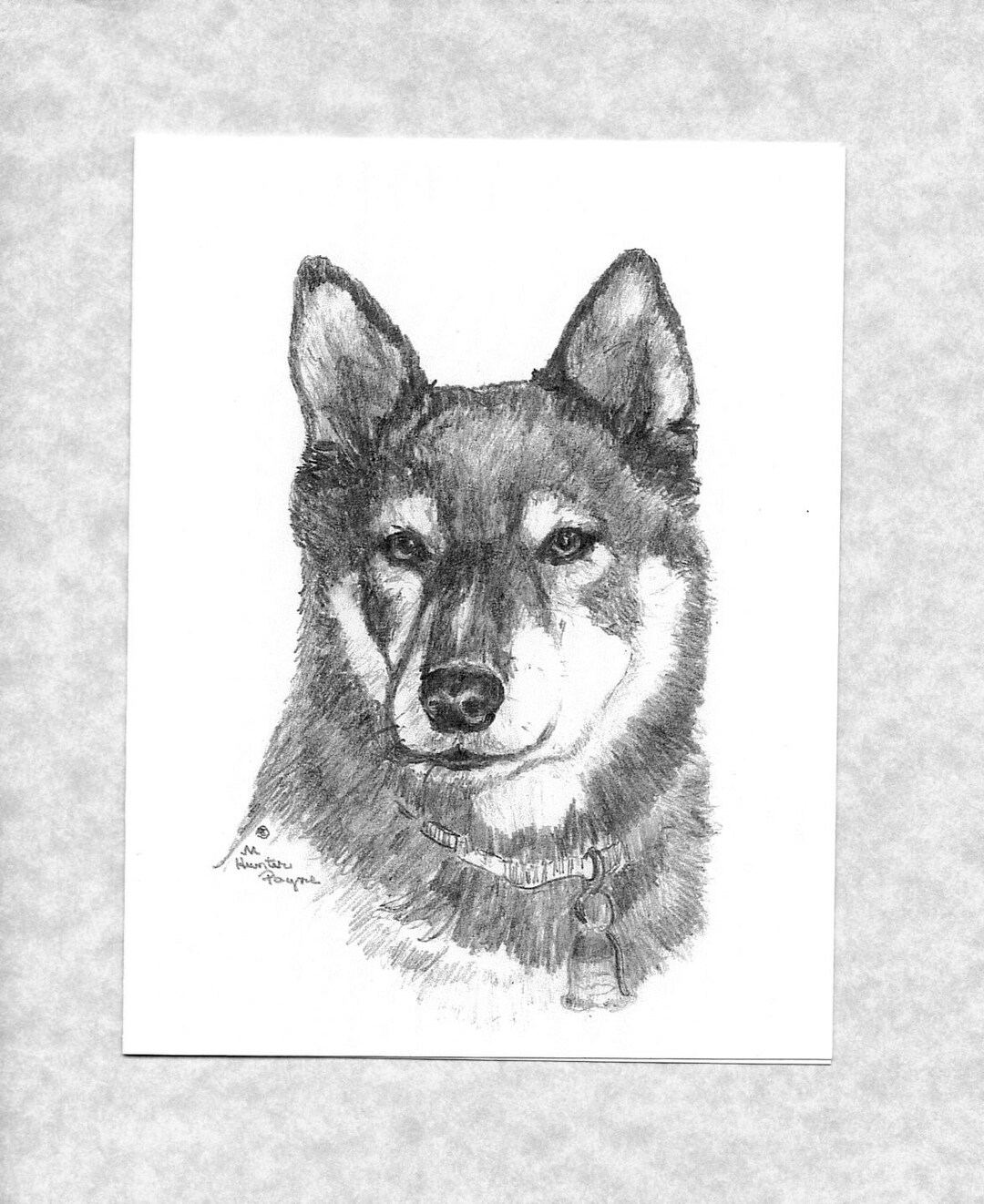 Shiba Inu Note Cards Blank Cards 6 Cards With Envelopes, Prints of My ...