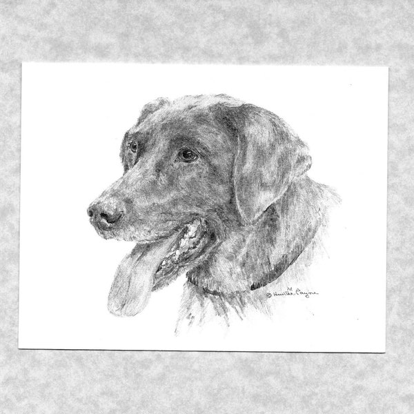 Black Lab Note Cards - Etsy
