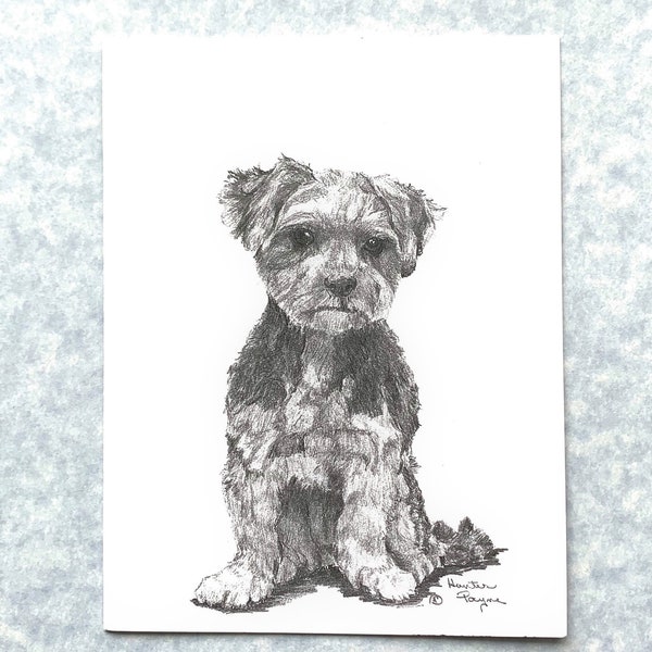 Drawing of Morkie - Etsy