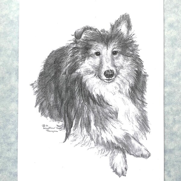 Sheltie - Etsy