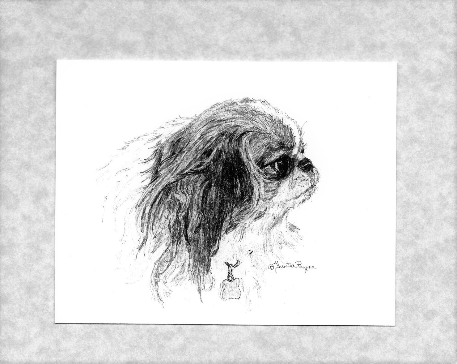 Japanese Chin Note Cards, Set of 6 Plus Envelopes, Direct From Artist ...