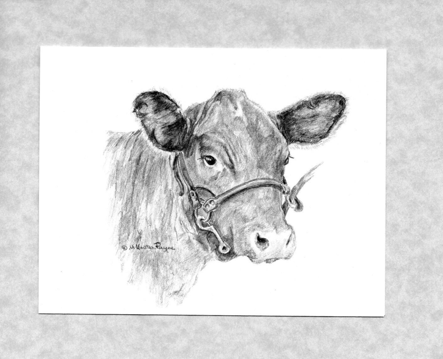 6 Beef Heifer Note Cards and Envelopes Cow Note Cards Beef - Etsy