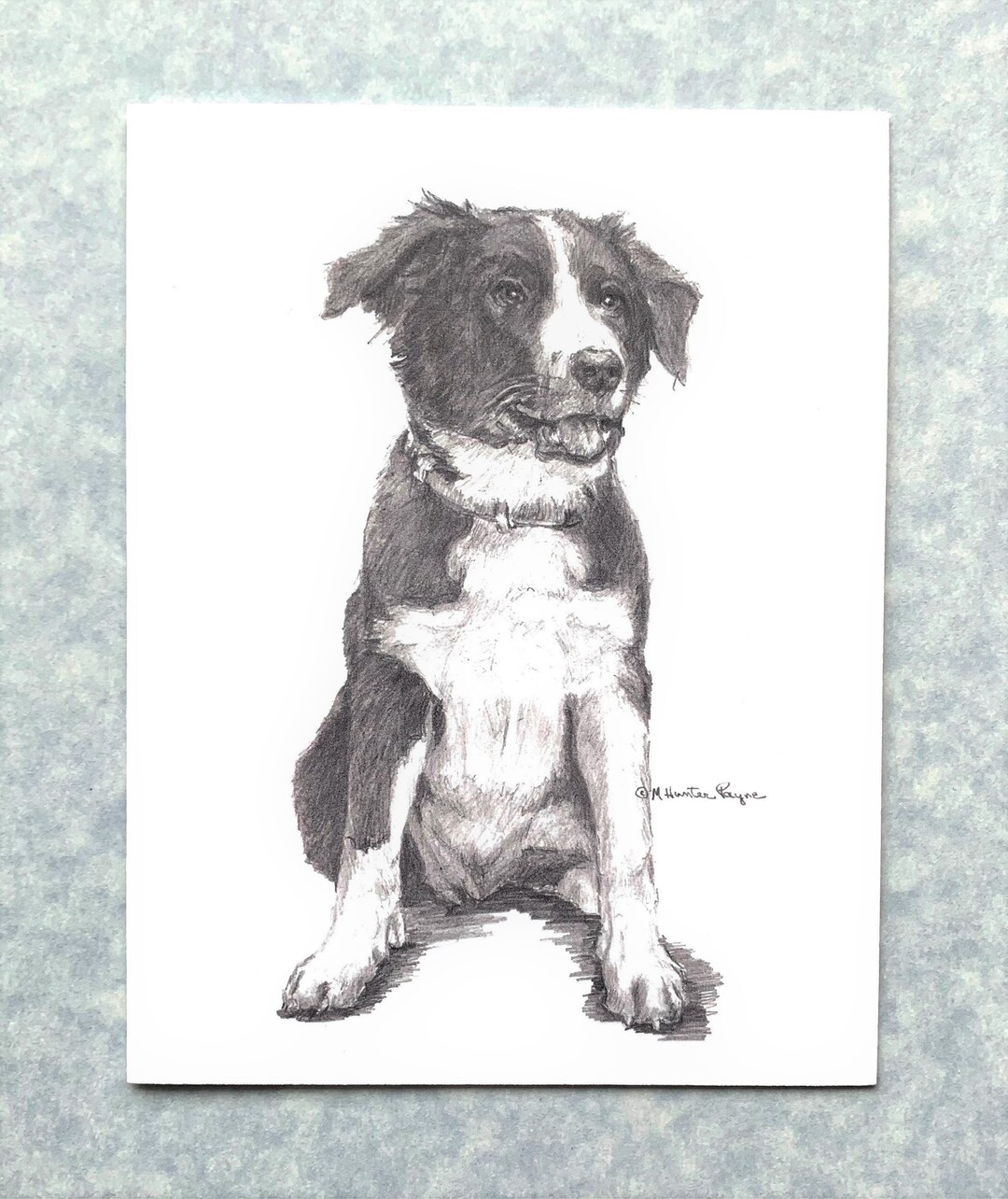 Border Collie Puppy Note Cards Fine Art Set of 6 With - Etsy