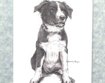 Collie Note Cards - Etsy