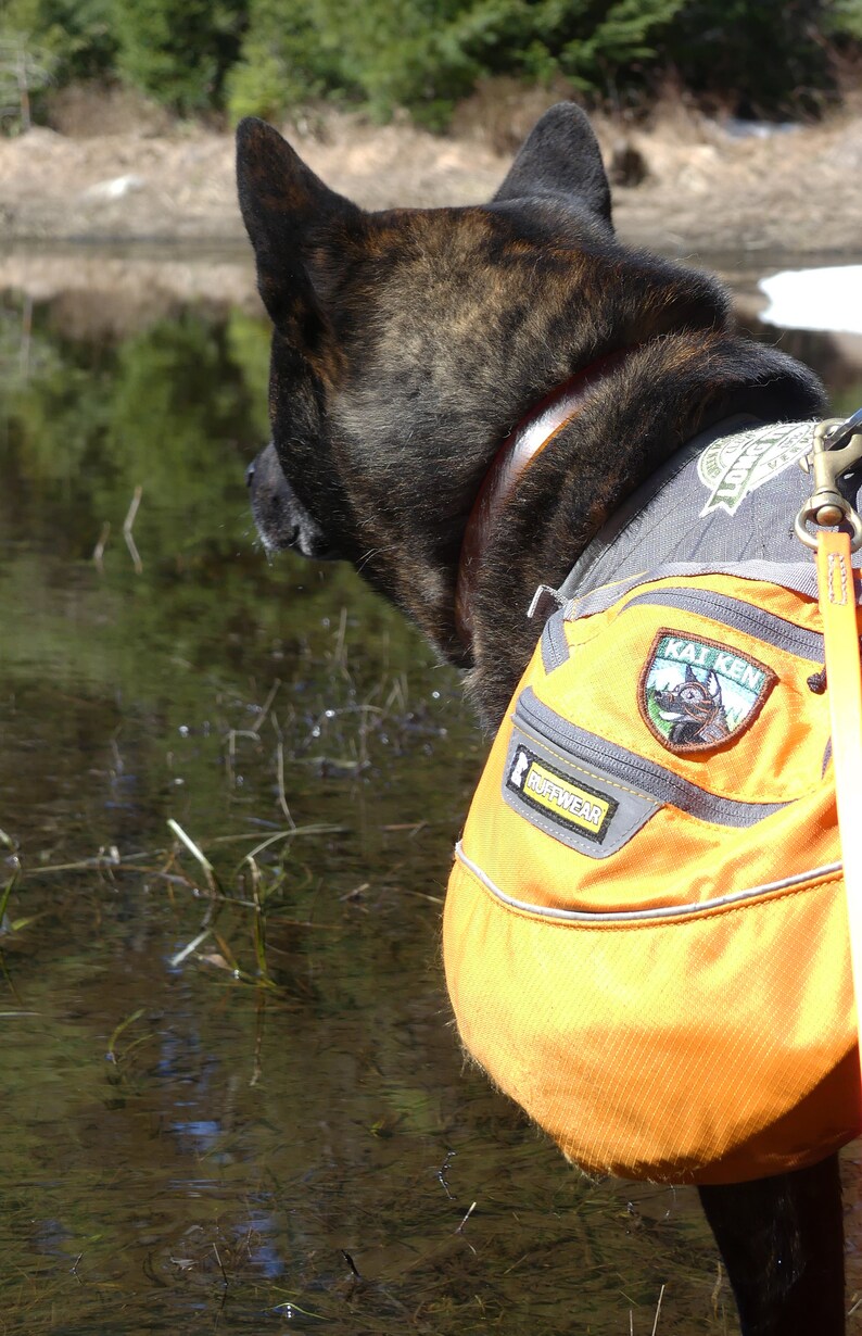 Kai Ken Embroidered Patch - Etsy