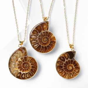 Gold Natural Ammonite Necklace - Real Fossilized Ammonite Pendant With ...
