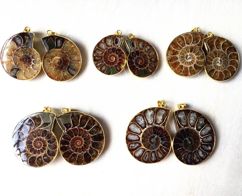 Natural Matching Pair Ammonite Pendant - Real Fossilized Ammonite ...