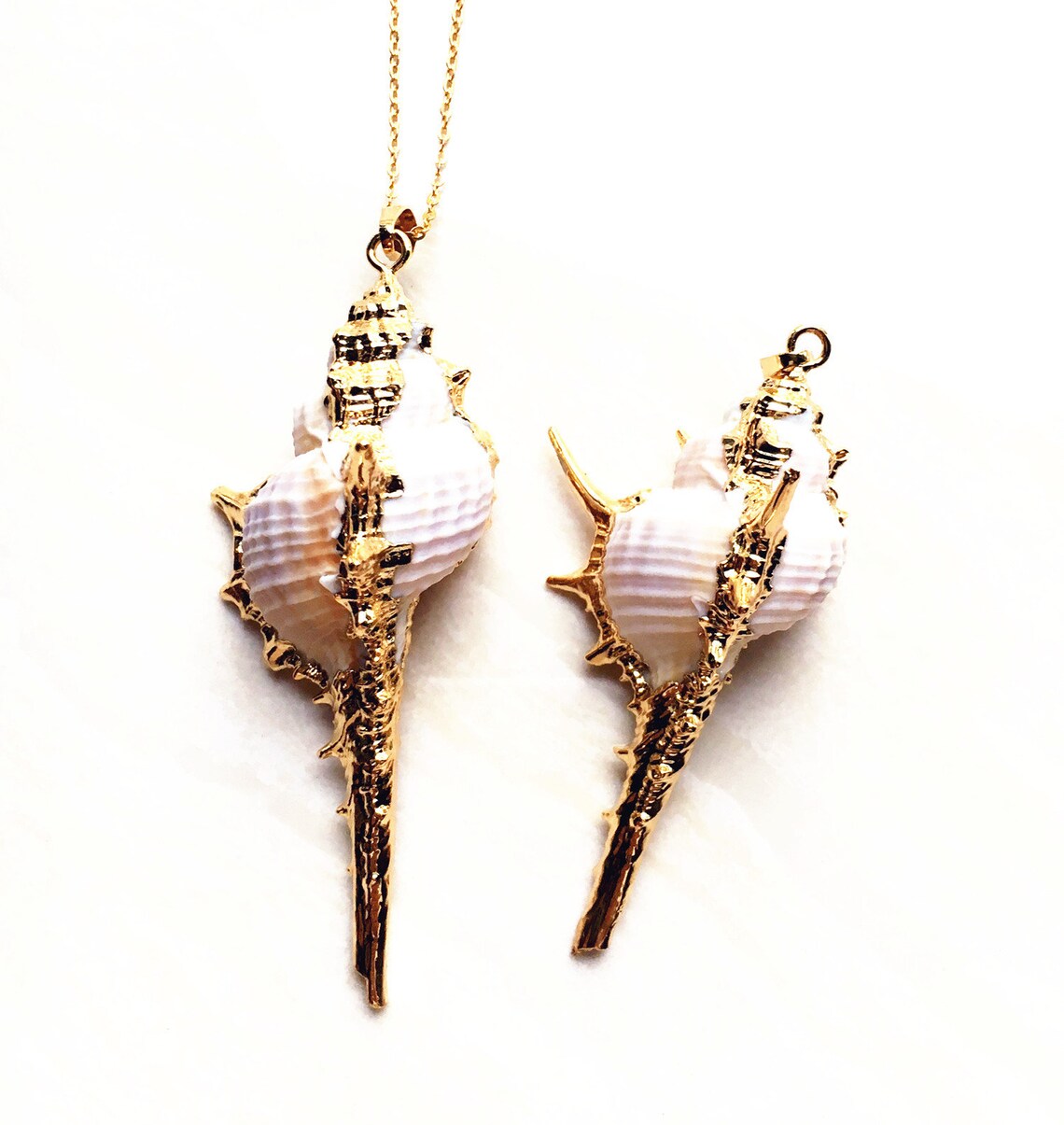 SALE Natural Large Long Sea Shell Pendant Beige Conch Shells | Etsy