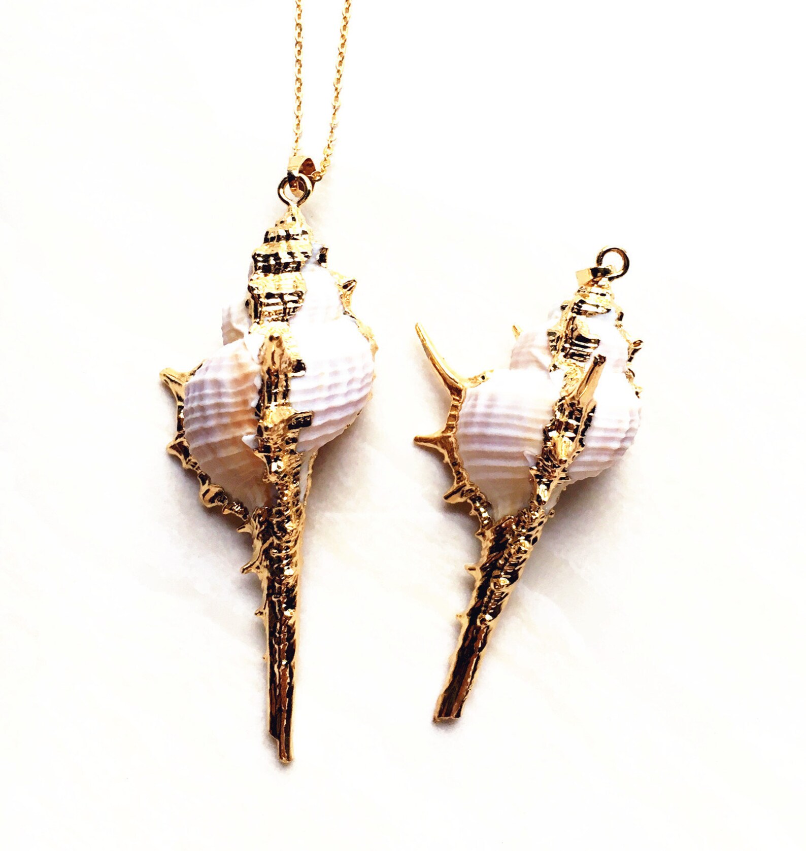 SALE Natural Large Long Sea Shell Pendant - Beige Conch Shells Beach ...