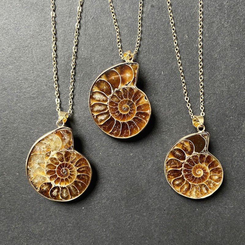 Ammonite Pendants Gold - Etsy UK