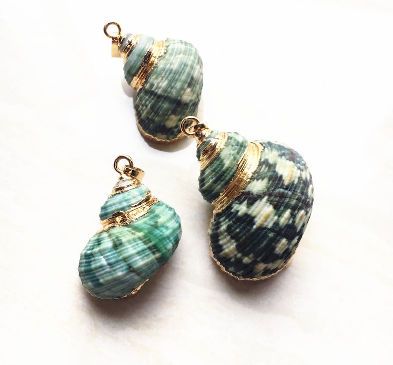 Wholesale Natural Gold Green Sea Shell Pendant Ocean Conch | Etsy