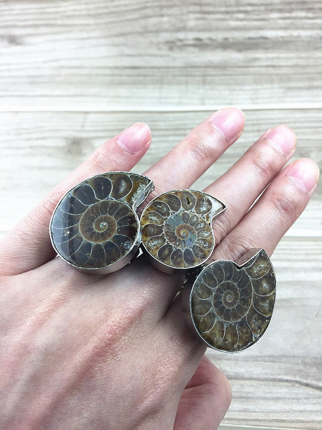 Ammonite Ring // Ammonite Fossil Rings // Ammonite Gemstone Rings ...