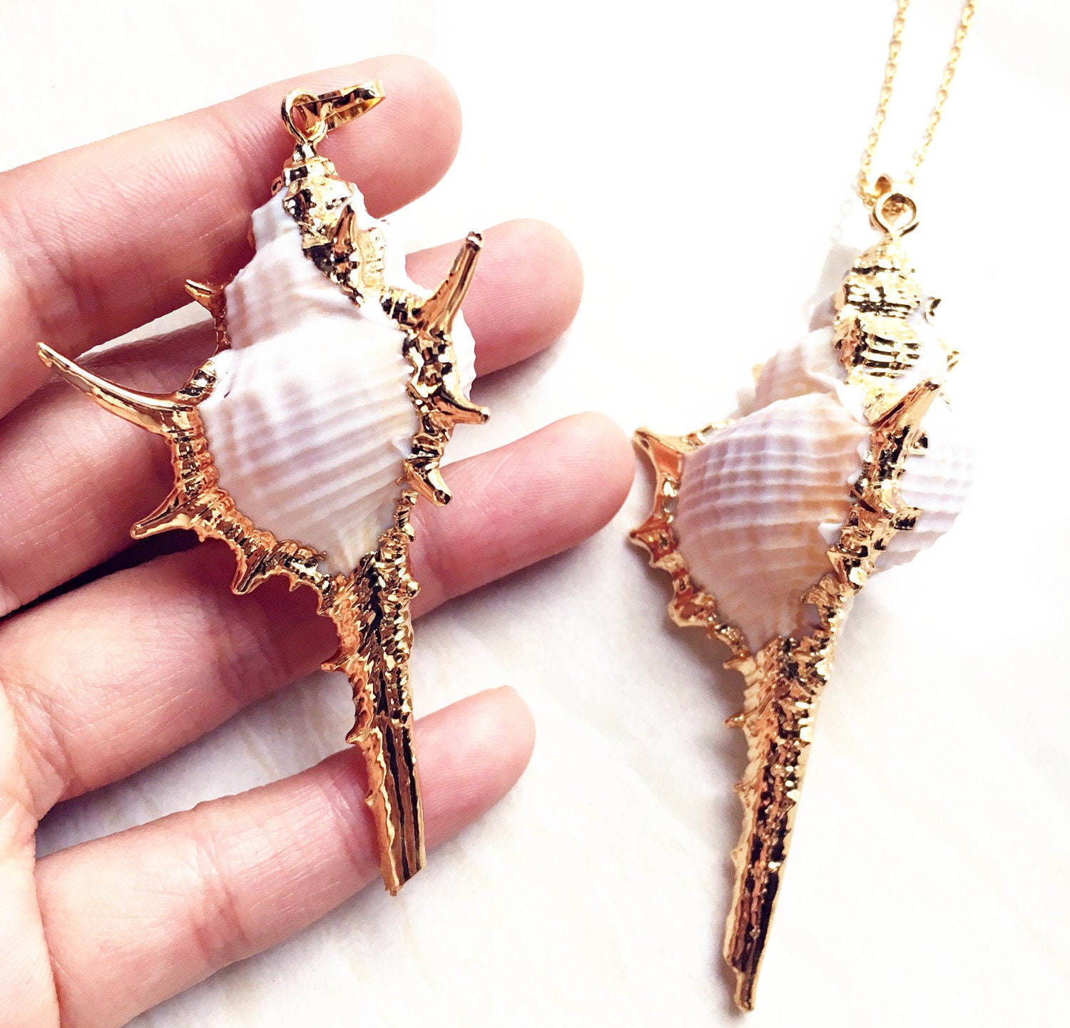 SALE Natural Large Long Sea Shell Pendant Beige Conch Shells | Etsy