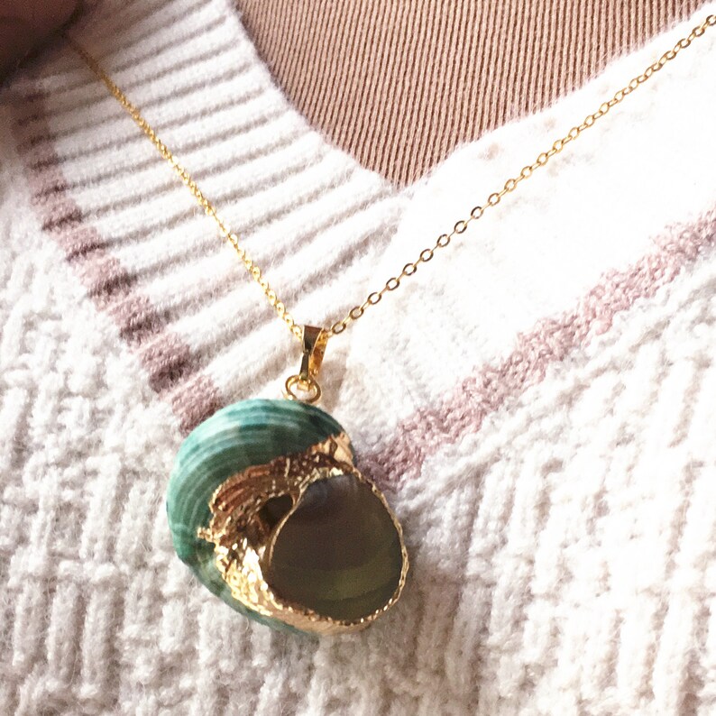 Wholesale Natural Gold Green Sea Shell Pendant Ocean Conch | Etsy