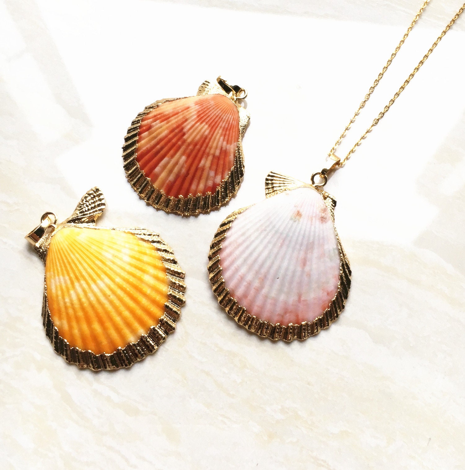 SALE Natural Beautiful Large Scallop Shell Pendant White Red - Etsy