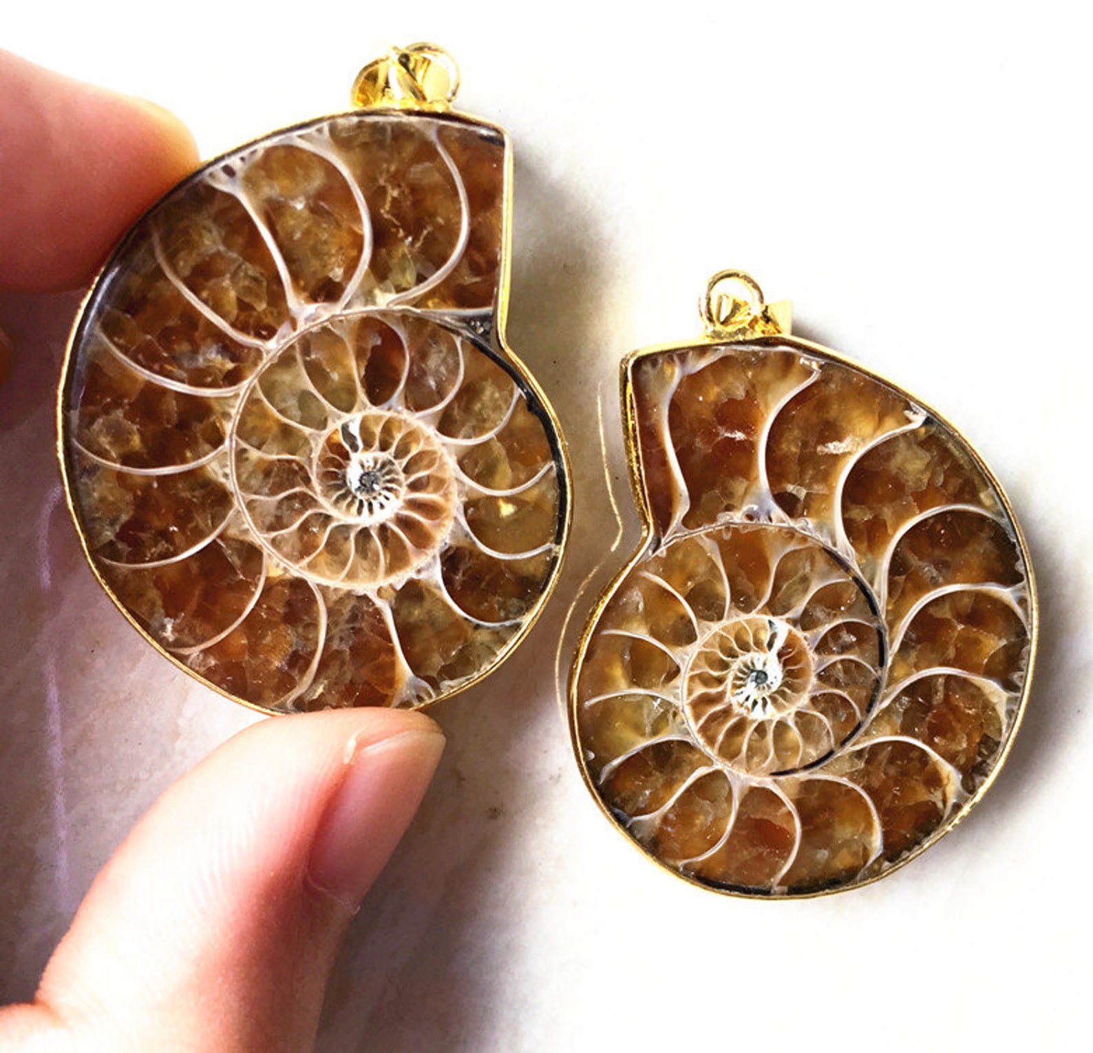 Natural Ammonite Pendant Necklace Real Fossilized Ammonite - Etsy