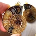 Natural Matching Pair Ammonite Pendant - Real Fossilized Ammonite ...