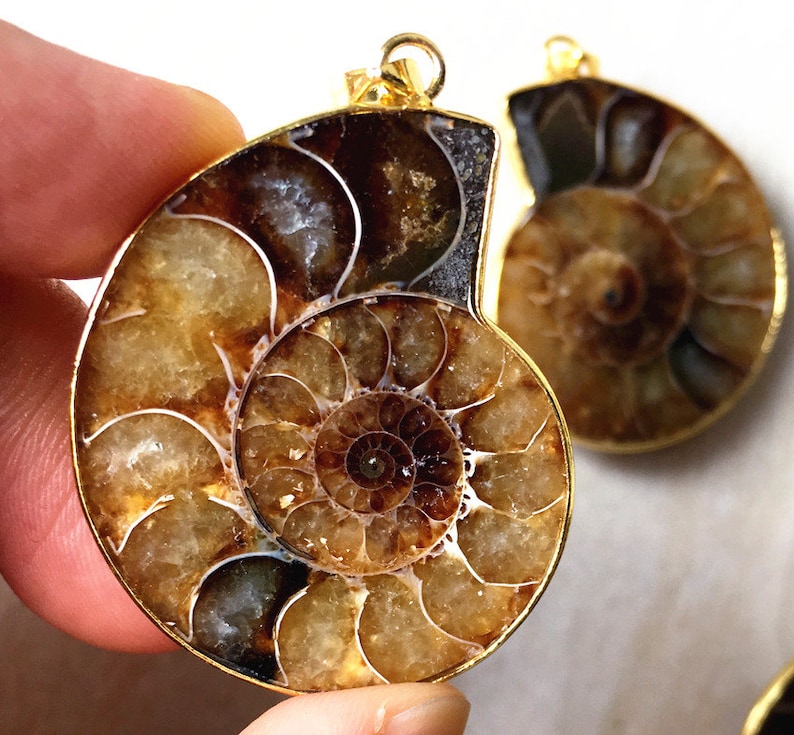 Natural Matching Pair Ammonite Pendant - Real Fossilized Ammonite ...