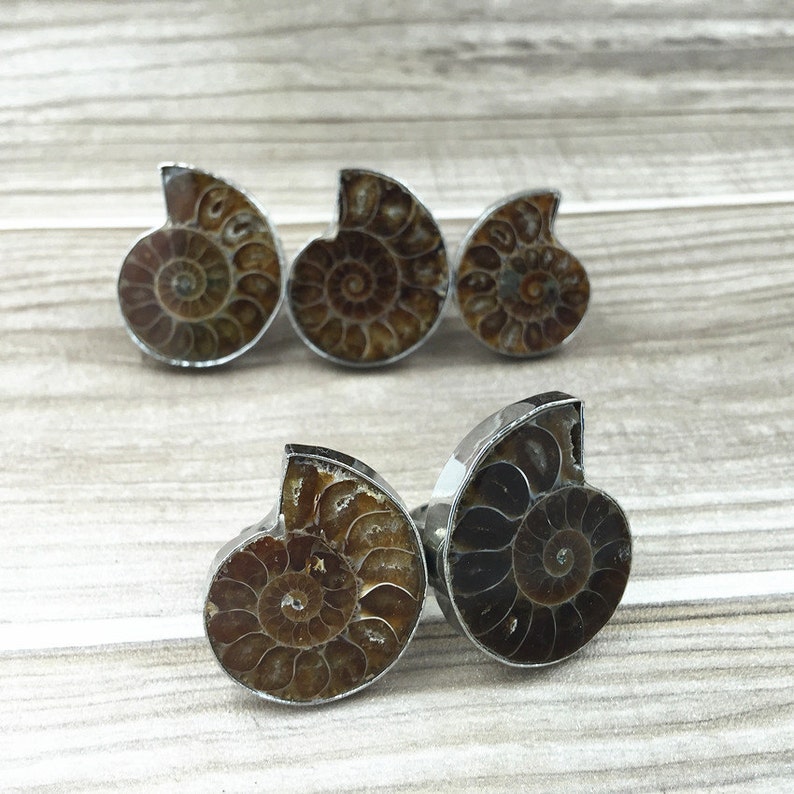 Ammonite Ring // Ammonite Fossil Rings // Ammonite Gemstone - Etsy