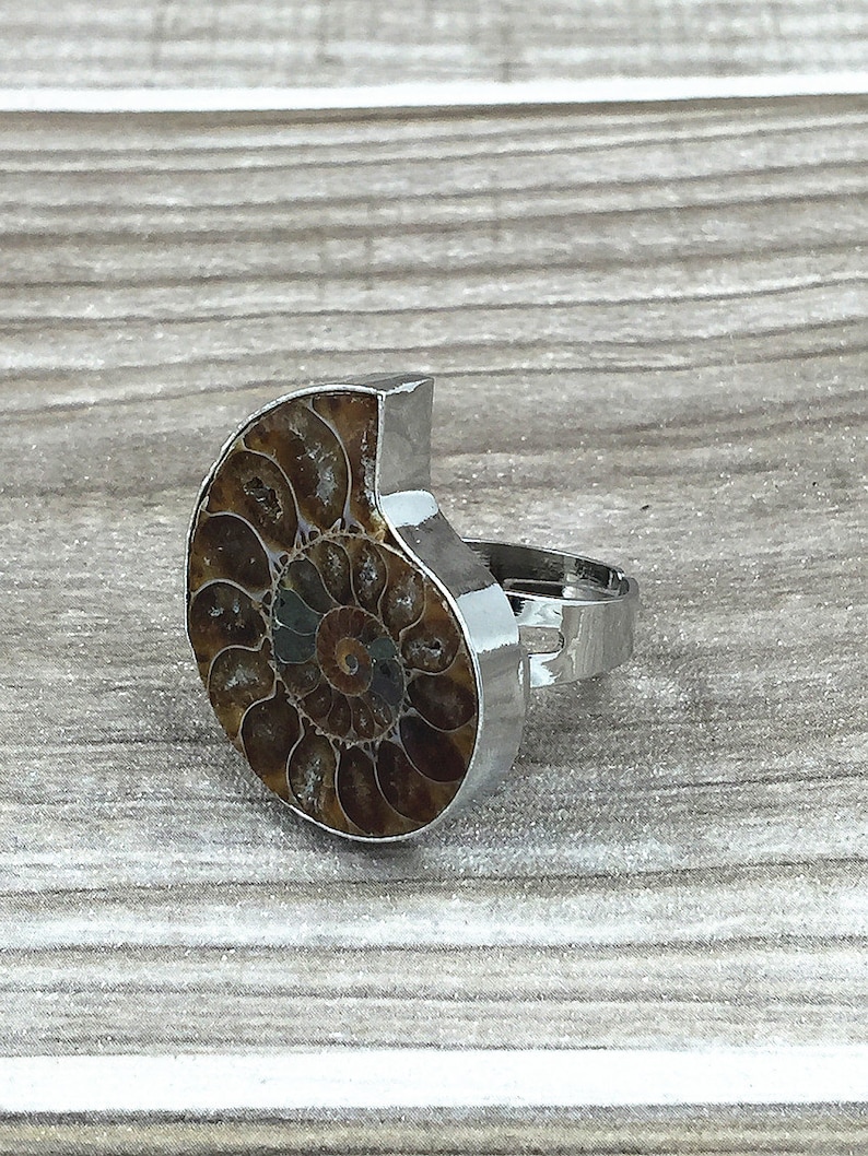Ammonite Ring // Ammonite Fossil Rings // Ammonite Gemstone - Etsy