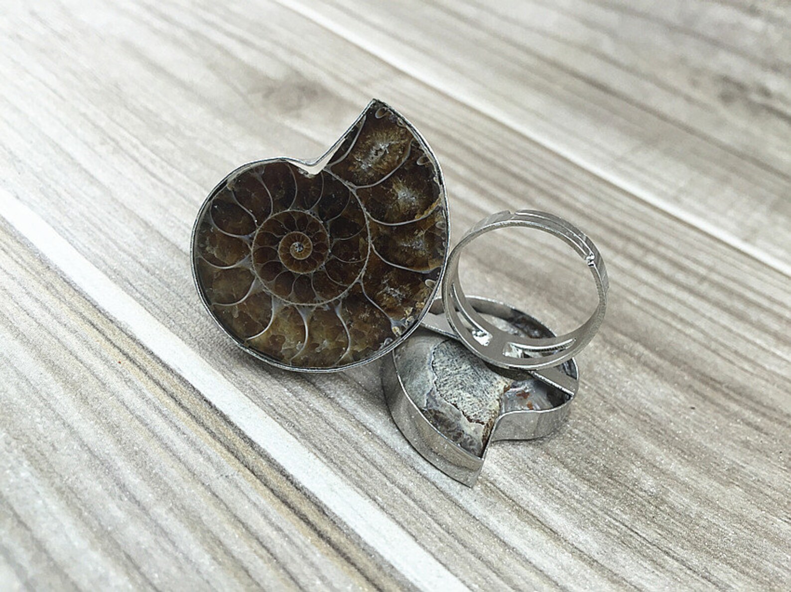 Ammonite Ring // Ammonite Fossil Rings // Ammonite Gemstone - Etsy