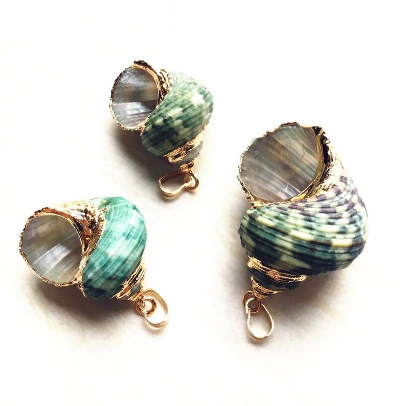 Wholesale Natural Gold Green Sea Shell Pendant Ocean Conch | Etsy