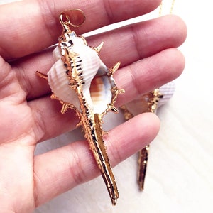 SALE Natural Large Long Sea Shell Pendant - Beige Conch Shells Beach ...