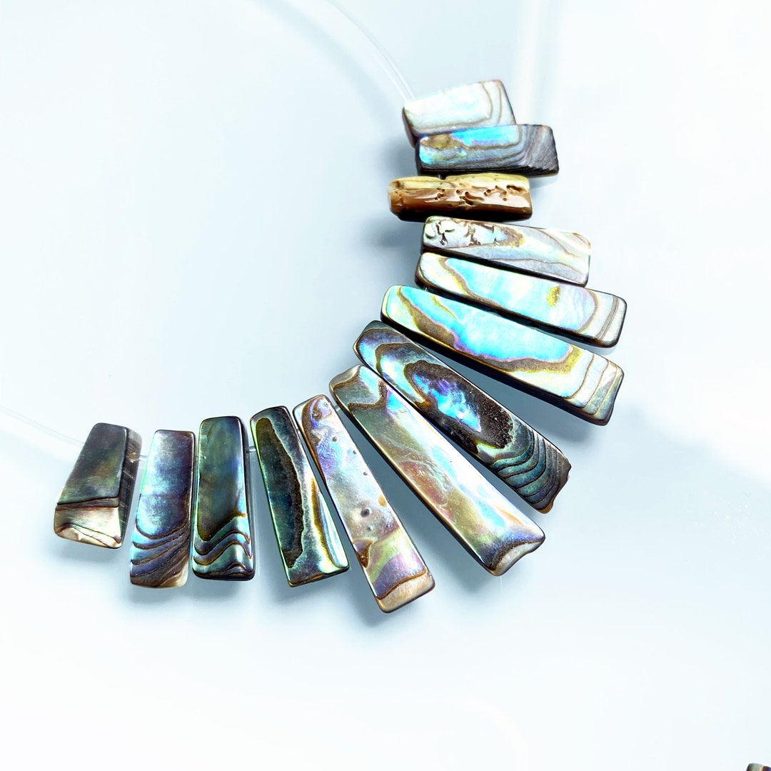 Abalone Shell, Set of 13 Abalone Shell Trapezia Bar Beads, Natural ...