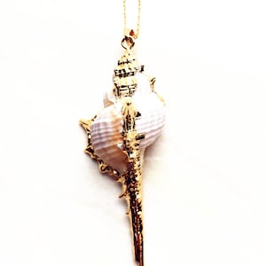 SALE Natural Large Long Sea Shell Pendant - Beige Conch Shells Beach ...