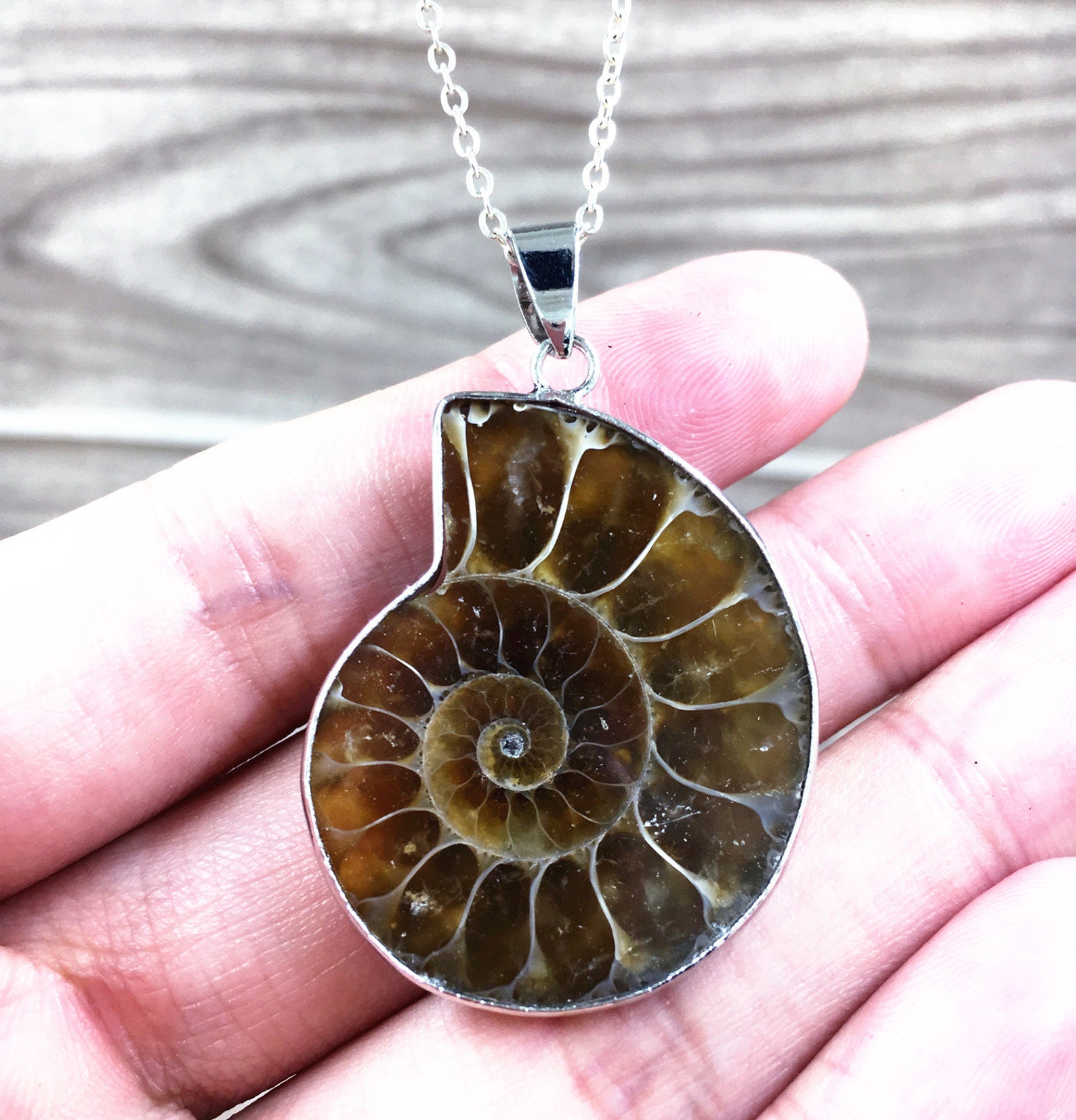 SALE Natural Ammonite Necklace - Real Fossilized Ammonite Pendant With ...