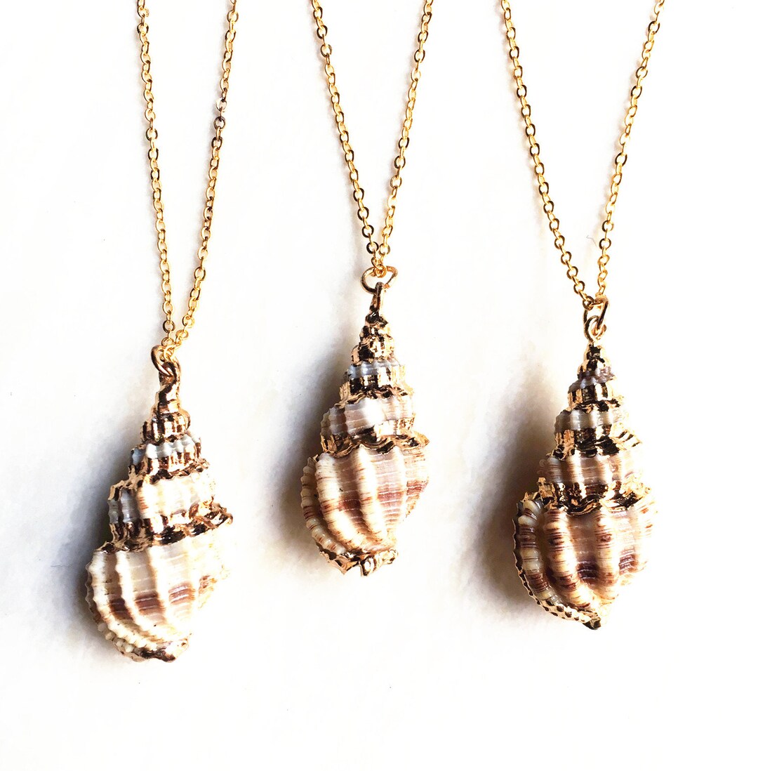 SALE Natural Beautiful Sea Shell Pendant - Brown Beige Conch Shells ...