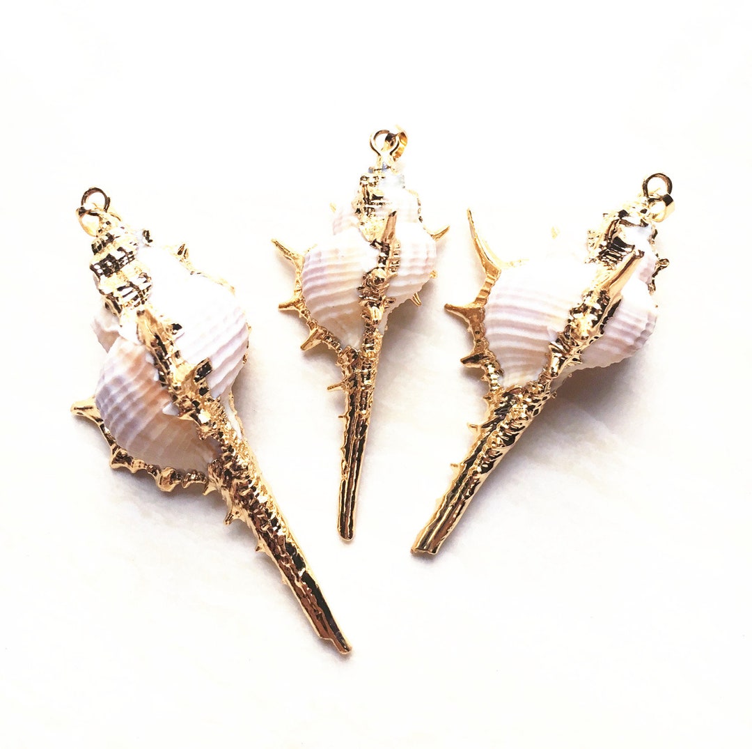SALE Natural Large Long Sea Shell Pendant - Beige Conch Shells Beach ...