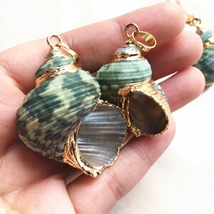 Wholesale Natural Gold Green Sea Shell Pendant - Ocean Conch Beach ...