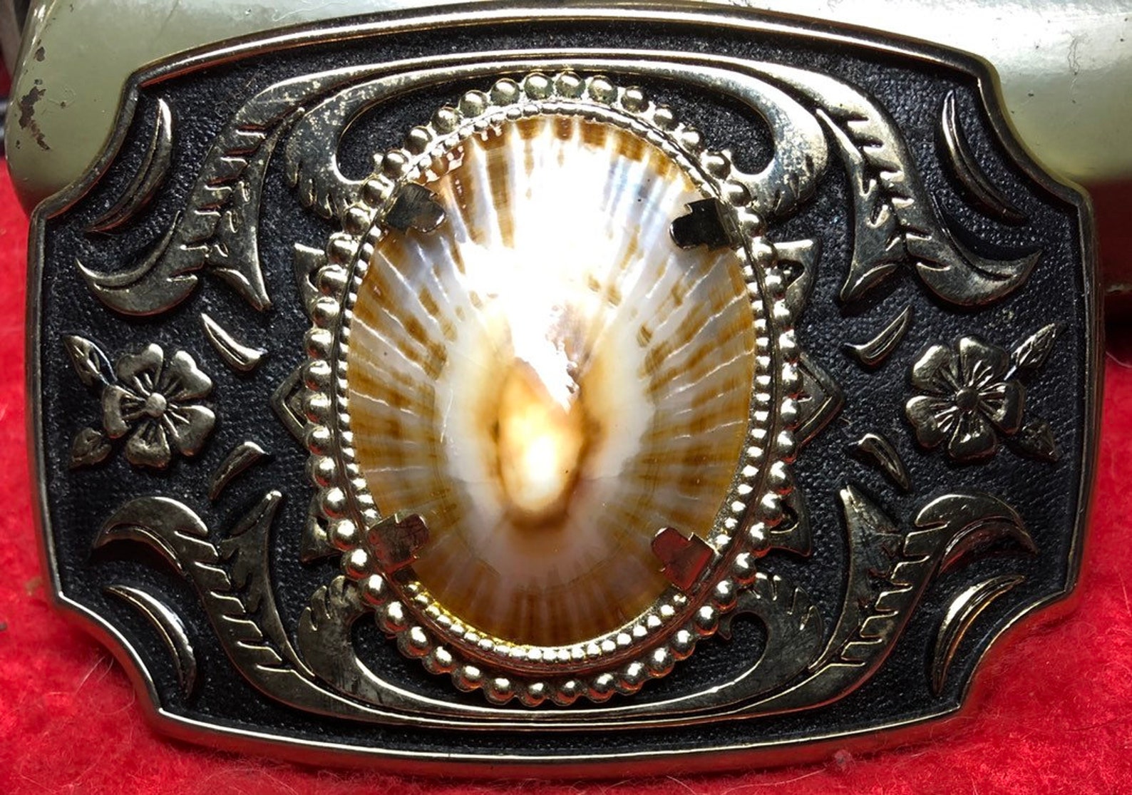 Vintage Sea Shell Belt Buckle 1970s - Etsy