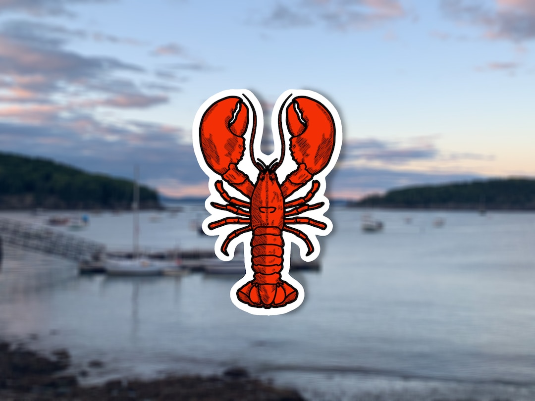 Vinyl "lobster" Sticker: Maine Travel, Animal, and Nature Decal - Etsy