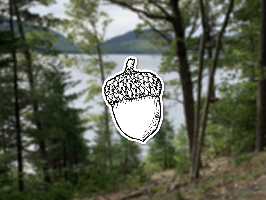 Acorn Nature Sticker, Forest Water Bottle Sticker, Tree Lover Adventure ...