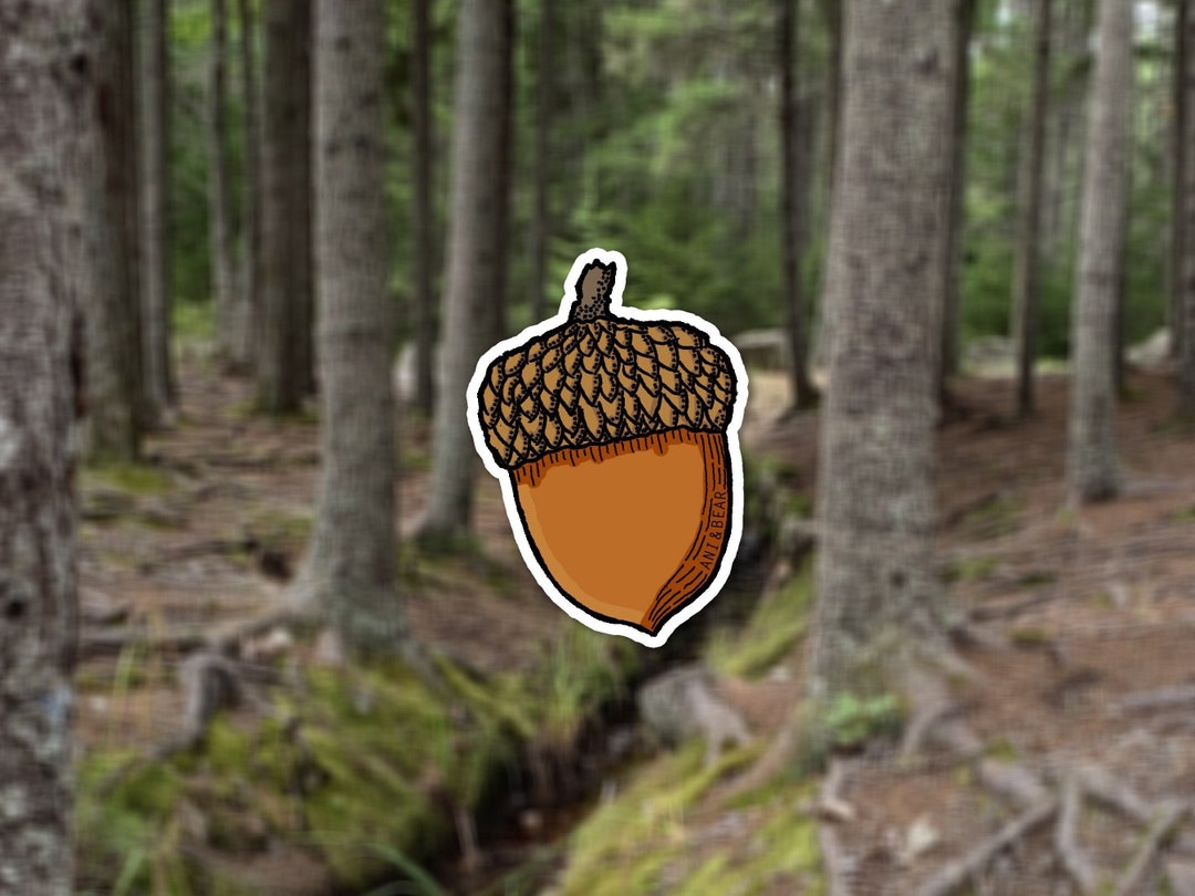 Acorn Sticker Hiking Stickers Nature Stickers - Etsy