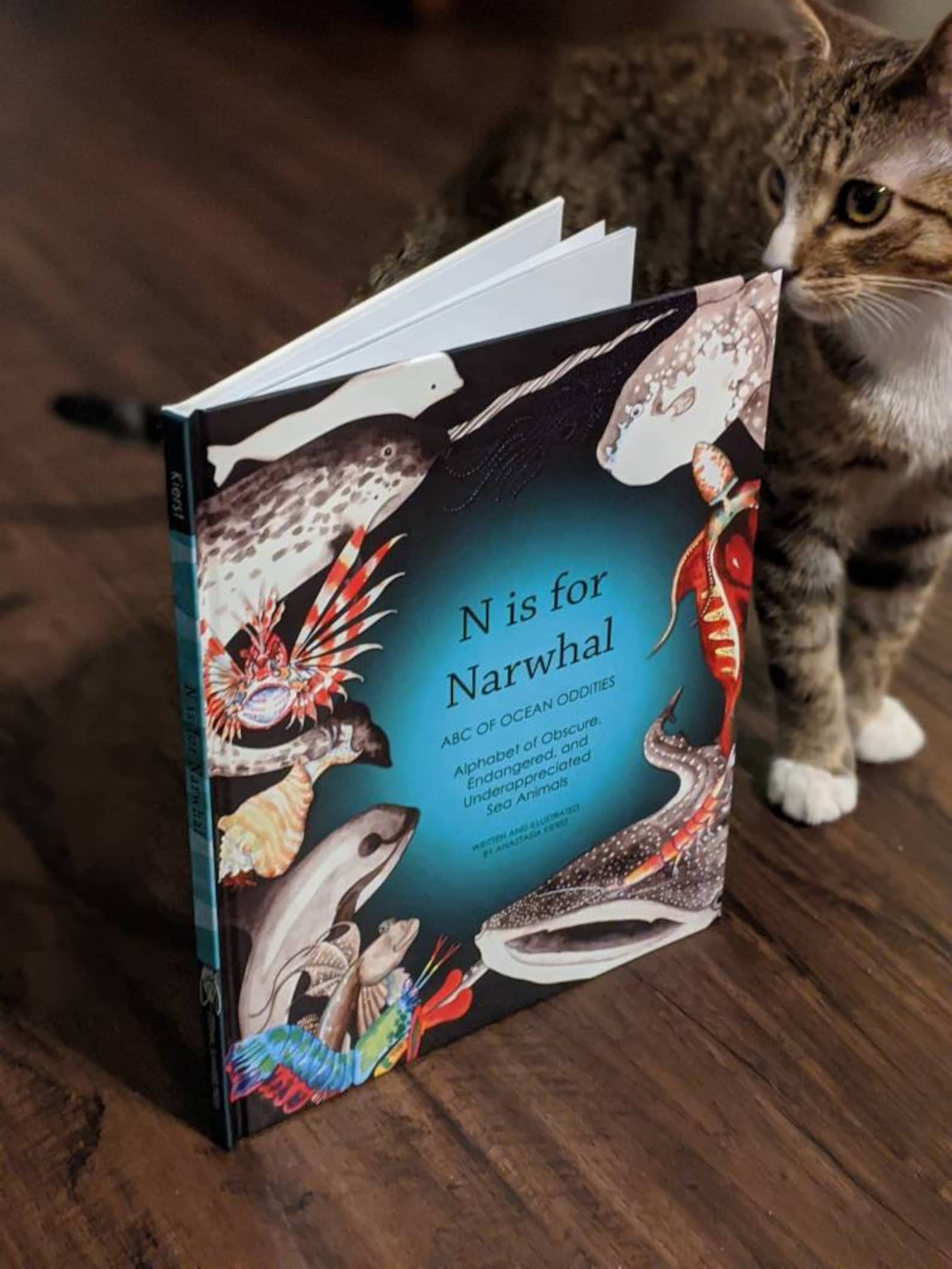 Signed Hardcover Children's Book: N is for Narwhal ABC of Ocean ...