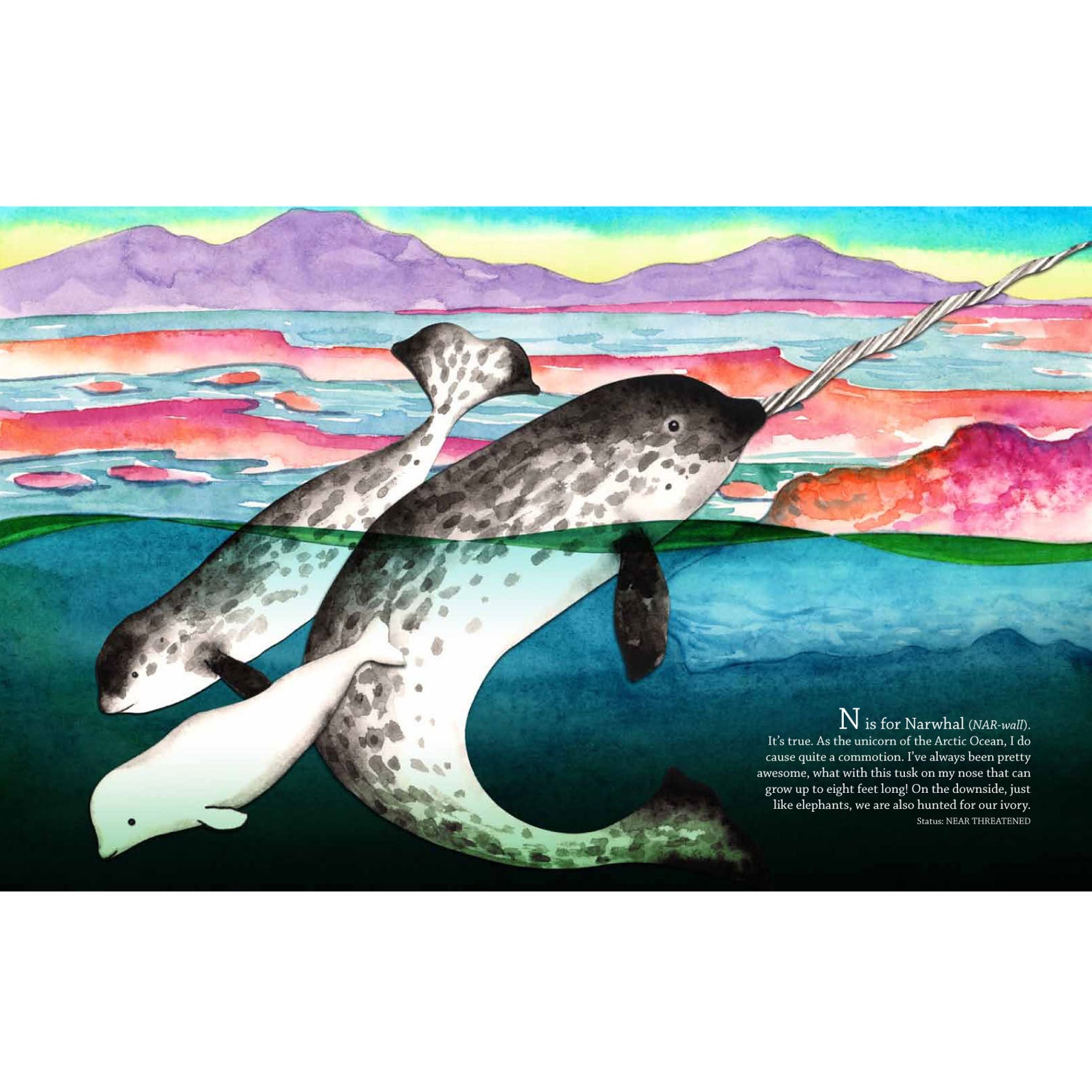 Signed Children's Book: N is for Narwhal ABC of Ocean Oddities Alphabet ...