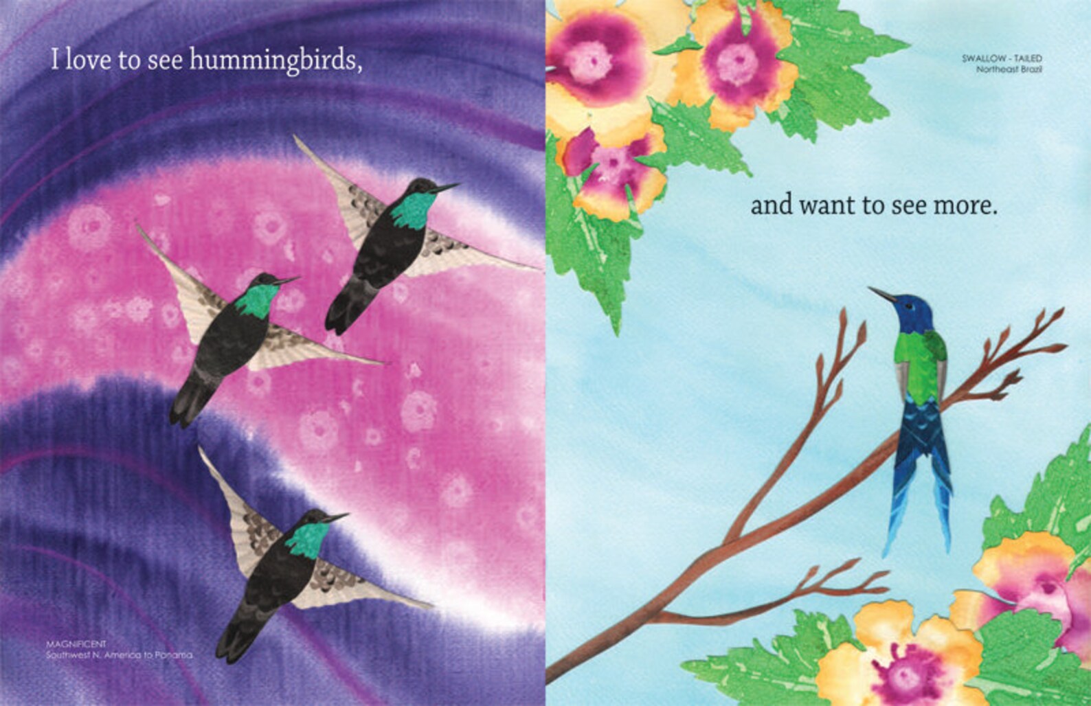 Hummingbird Heaven: a Counting Poem DIGITAL DOWNLOAD VERSION - Etsy ...