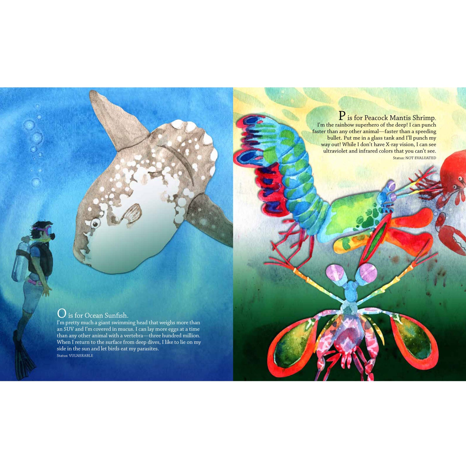 Signed Children's Book: N is for Narwhal ABC of Ocean Oddities Alphabet ...