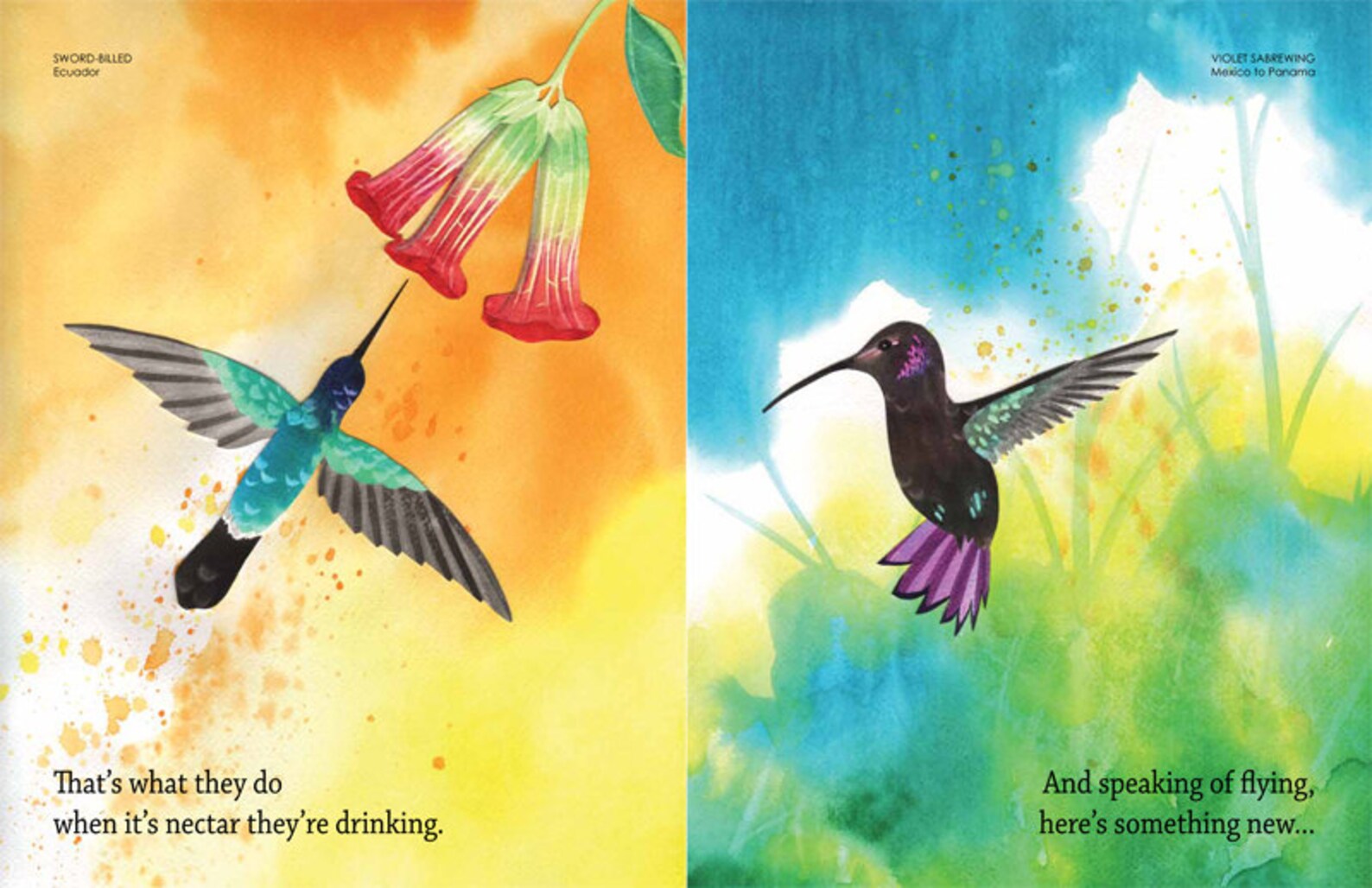 Hummingbird Heaven: a Counting Poem DIGITAL DOWNLOAD VERSION - Etsy ...