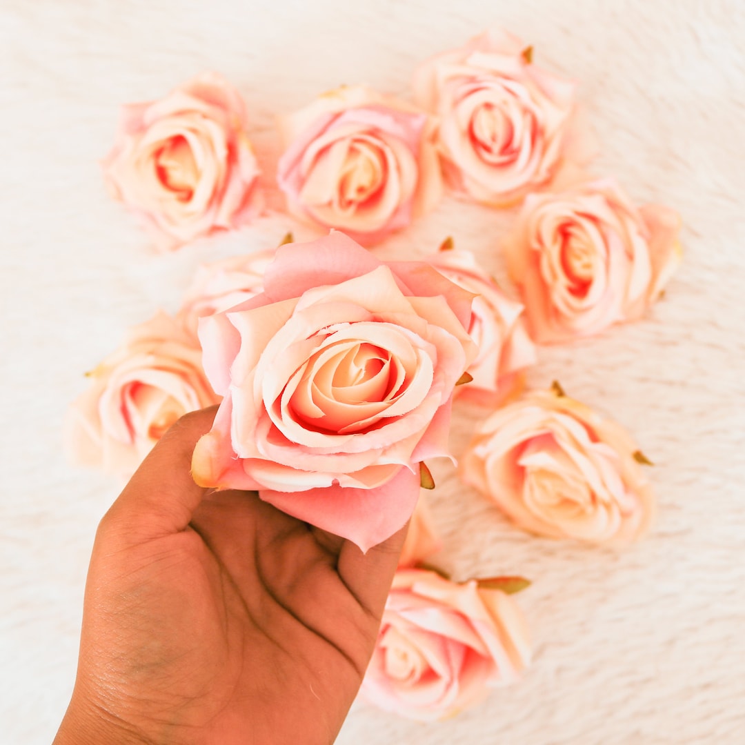 6-100pcs Ivory Artificial Rose Heads, Pink Roses Without Stem for ...